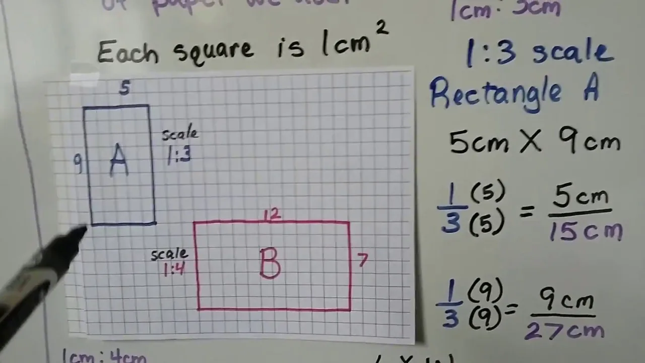 Scale Drawing 7th Grade Quiz | Quizizz