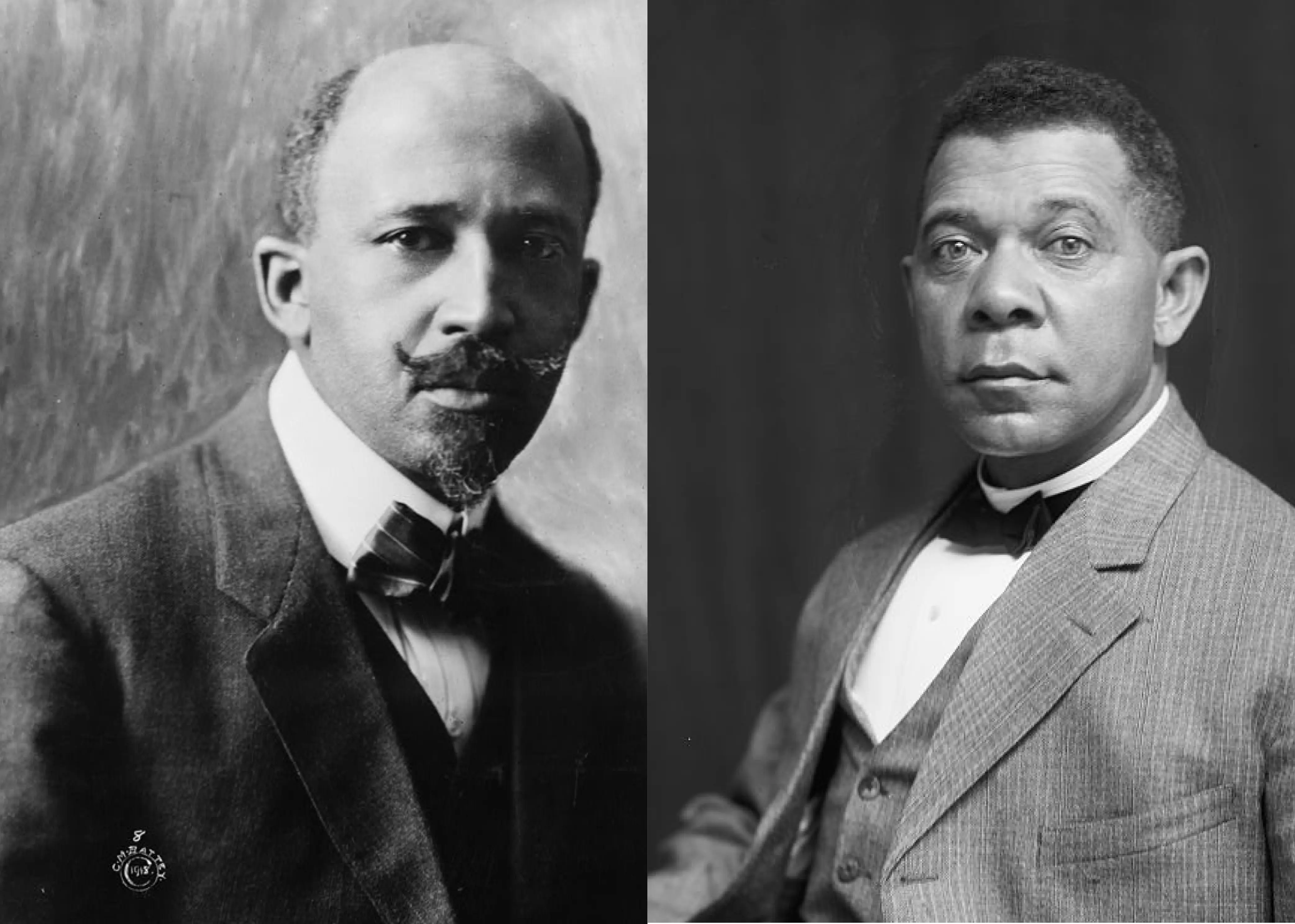 Washington v. DuBois: Two Different Points of View Quiz