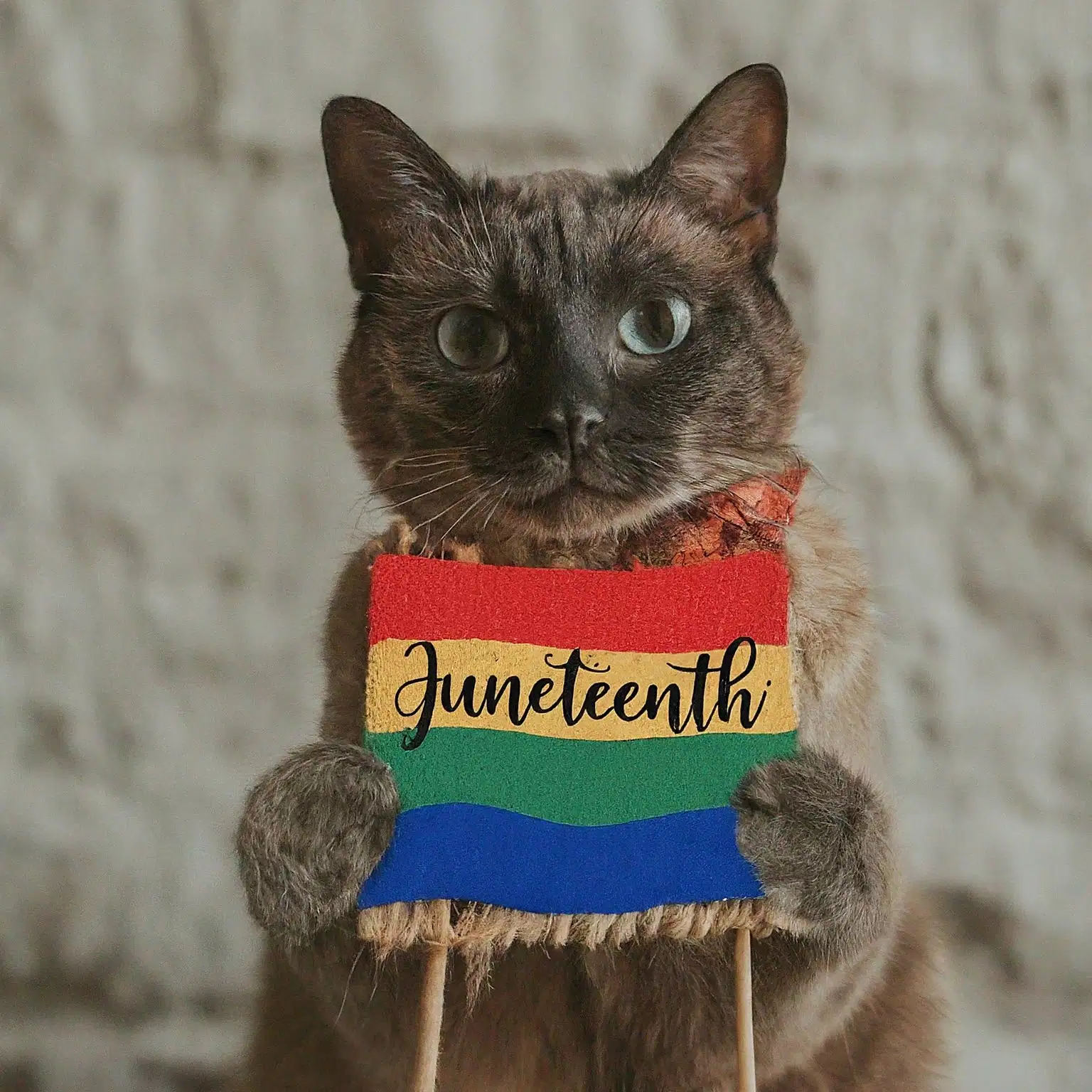 The History and Significance of Juneteenth 6th Grade Passage | Quizizz