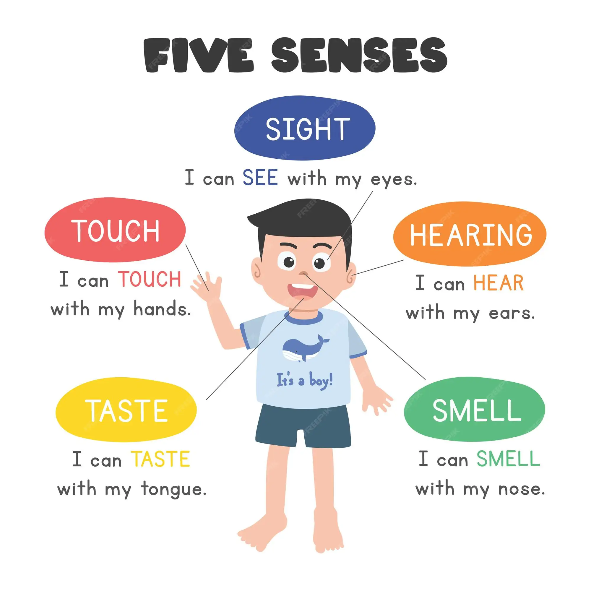 Unit 13 lesson 1 Sense GK 1st - 5th Grade Quiz | Quizizz