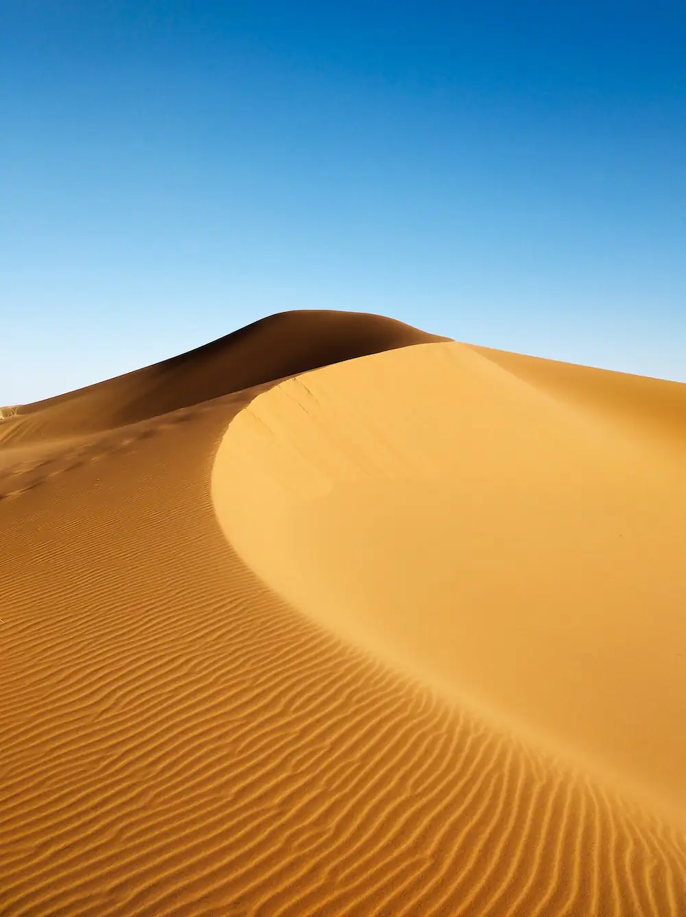 Erosion and Deposition Review 8th Grade Quiz | Quizizz