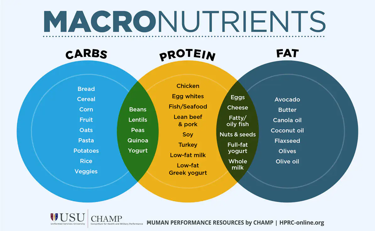Macronutrients Quiz Quiz