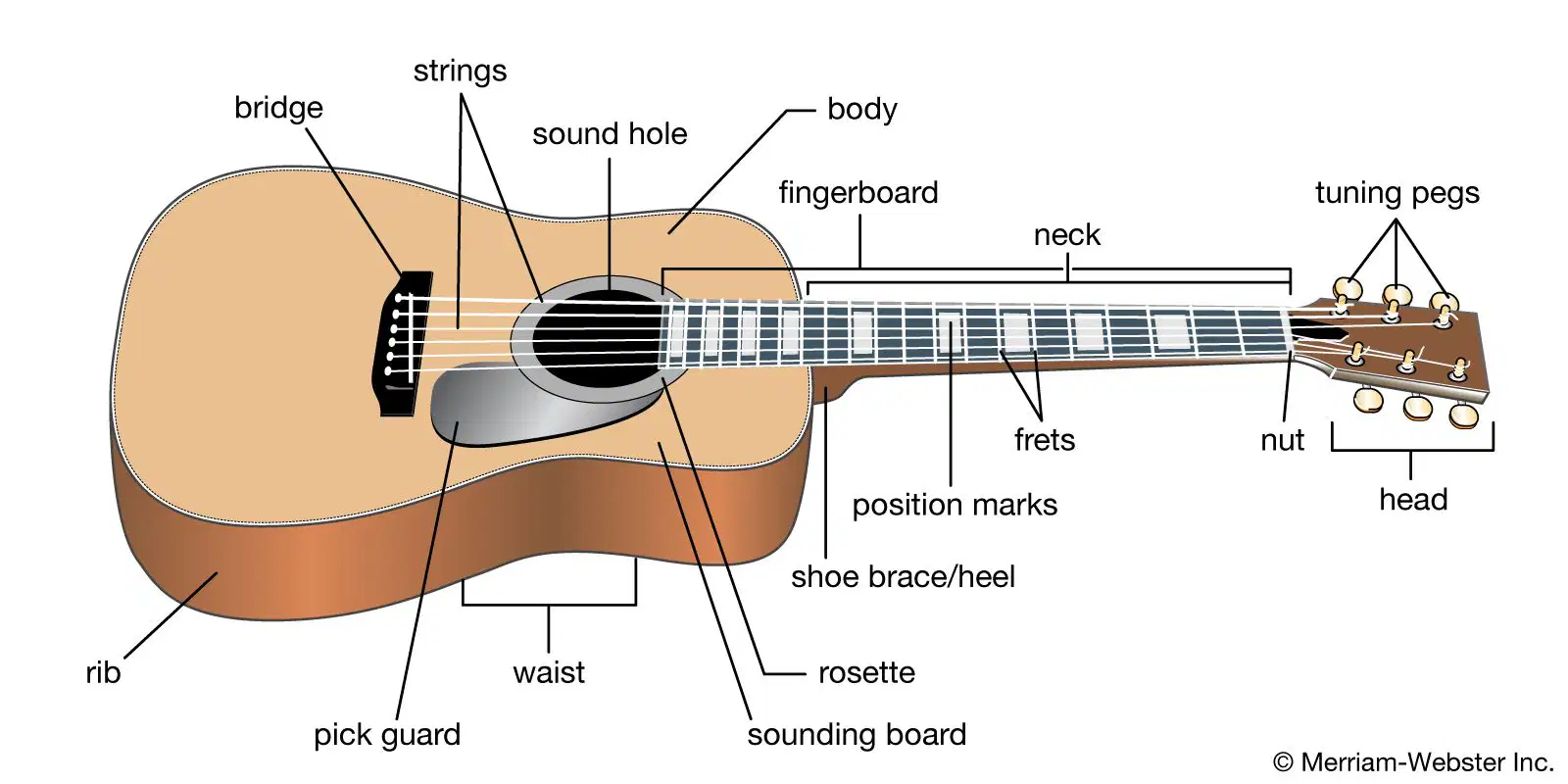 Guitar chord flashcard Flashcards