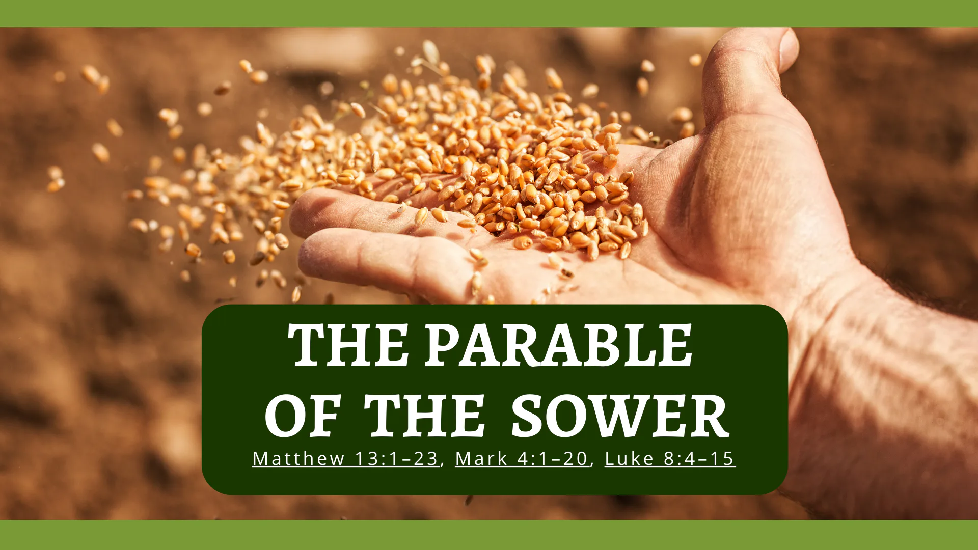 Parable of the Sower Professional Development Quiz | Wayground