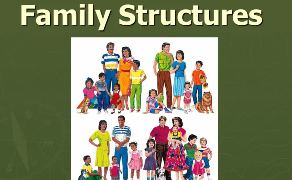 FAMILY STRUCTURE QUIZ Quiz