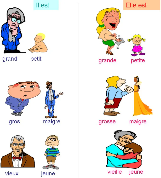 Les adjectifs, quiz 5ème 5th Grade Quiz | Quizizz