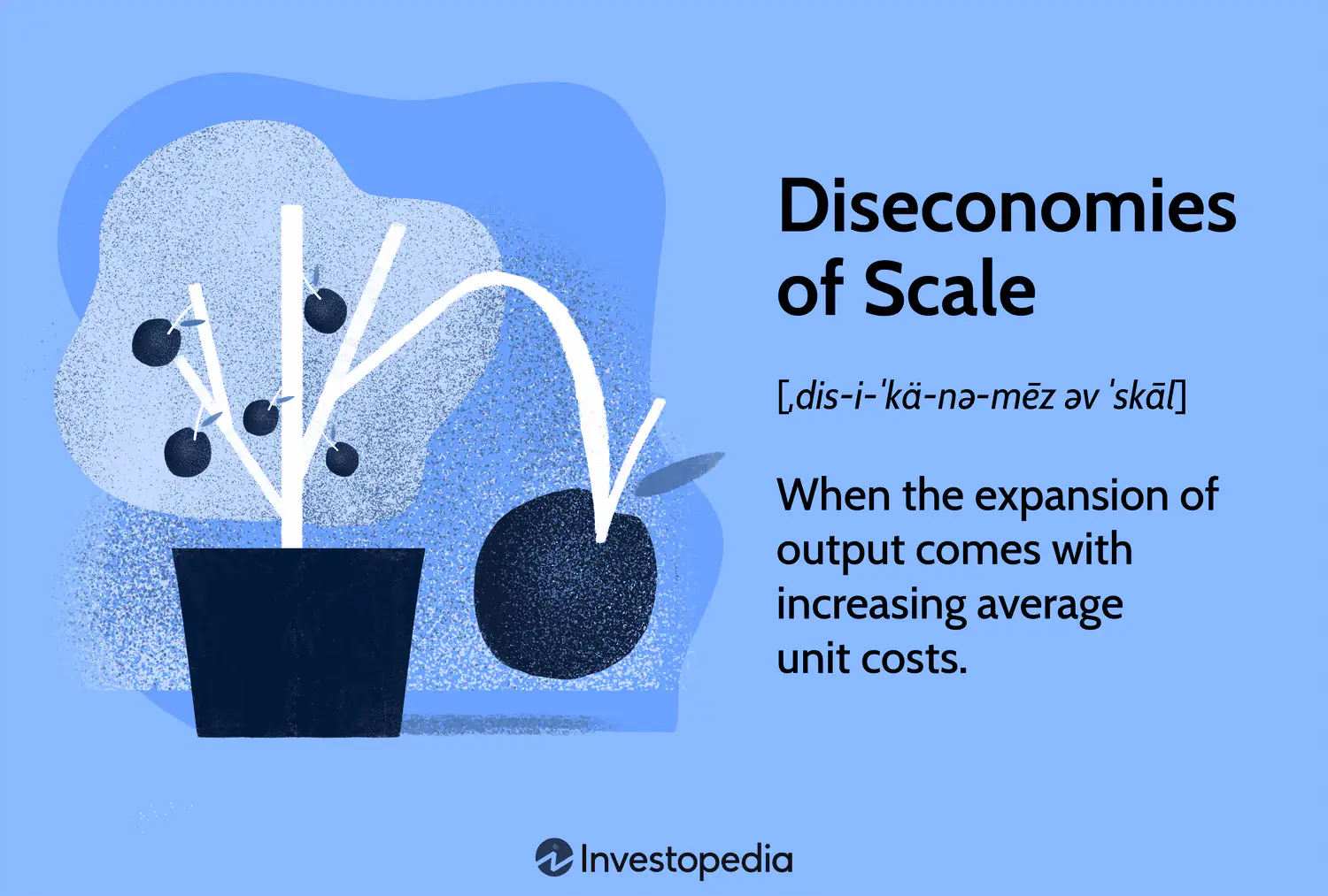 Understanding Diseconomies of Scale Quiz