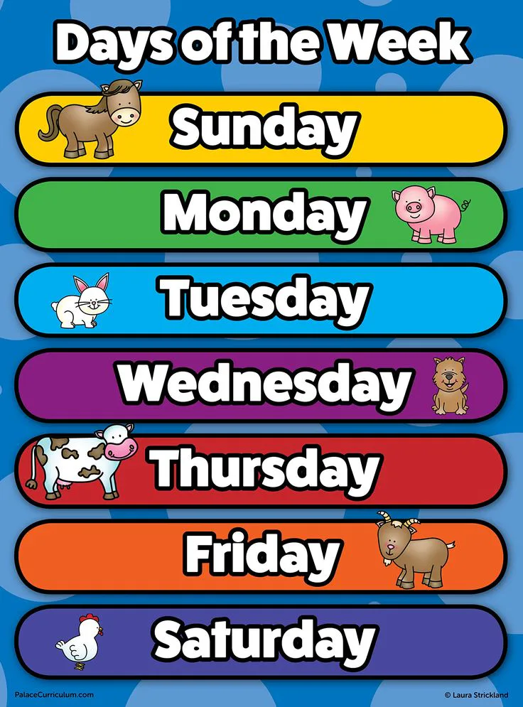 power up 2 - unit 2 - my week 9th - 12th Grade Flashcard | Wayground ...