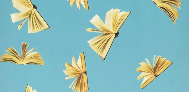 Literary Terms Flashcards Flashcard