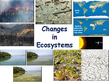 Ecosystem Changes and Food Webs: TEKS 5.12C Quiz