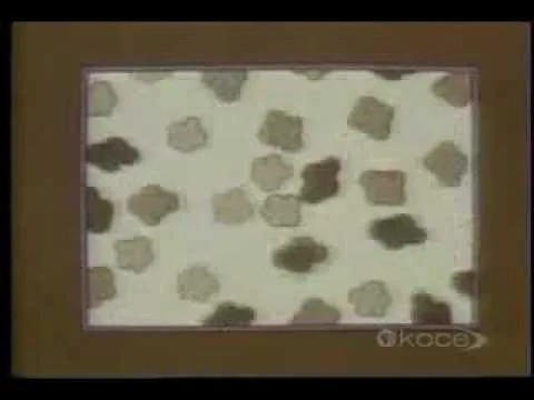 Eureka! Molecules in Liquids 9th - 12th Grade Video | Wayground
