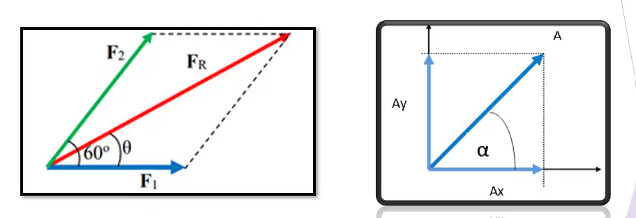 Quiz Vektor Part-1 Kuis