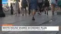 White House Introduces 3-Phase Plan To Reopen Economy Interactive Video
