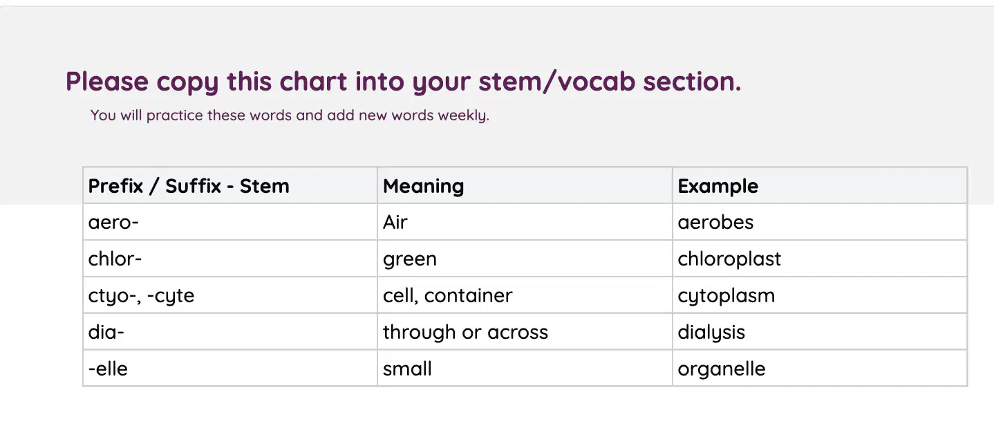 Grade 7 Stem Words Quiz Quiz