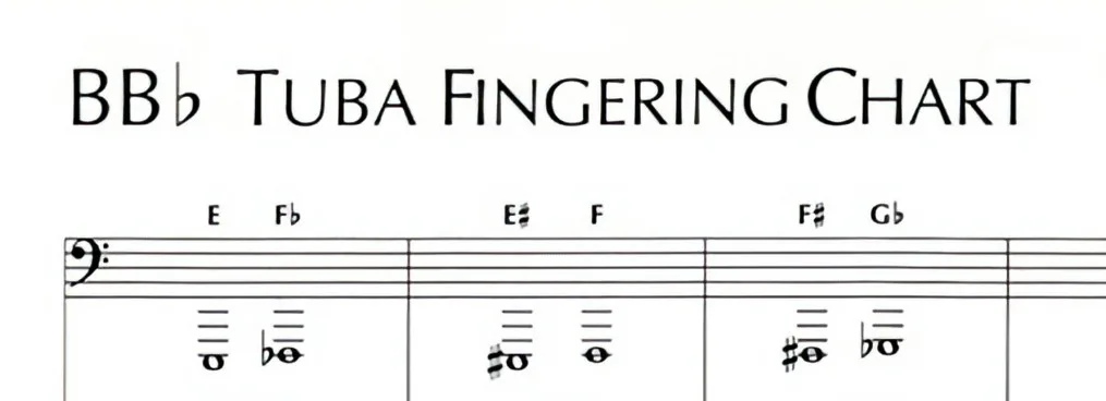 BBb Tuba Fingerings SHS Flashcard