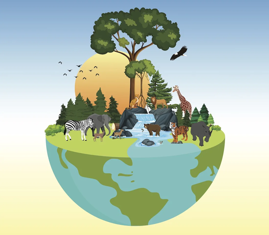 BIODIVERSITY 8th Grade Quiz | Quizizz