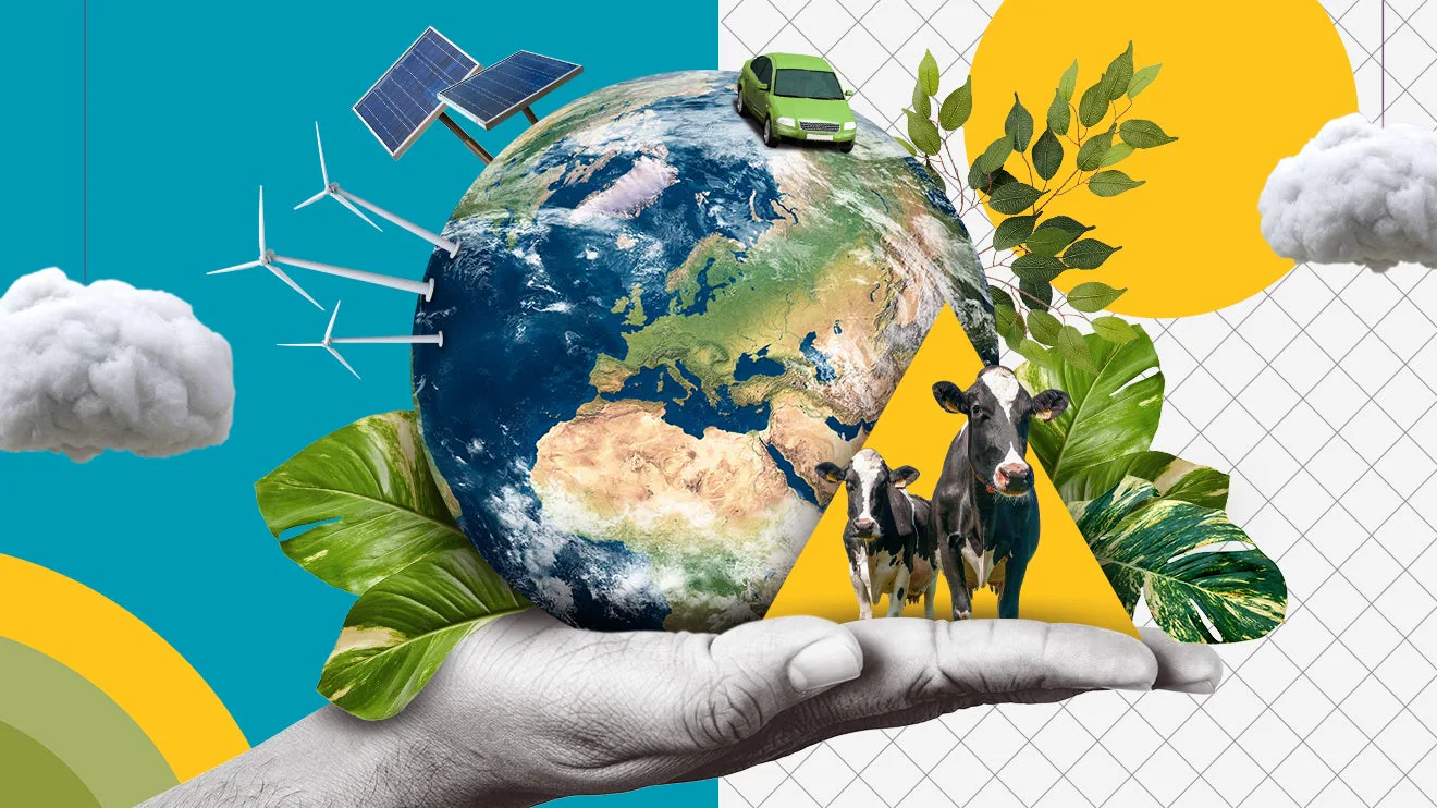 Environmental Ethics Quiz