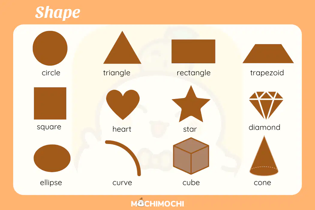 Shape Quiz