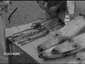 1952: NEW ORLEANS 11th Grade - University Video | Quizizz