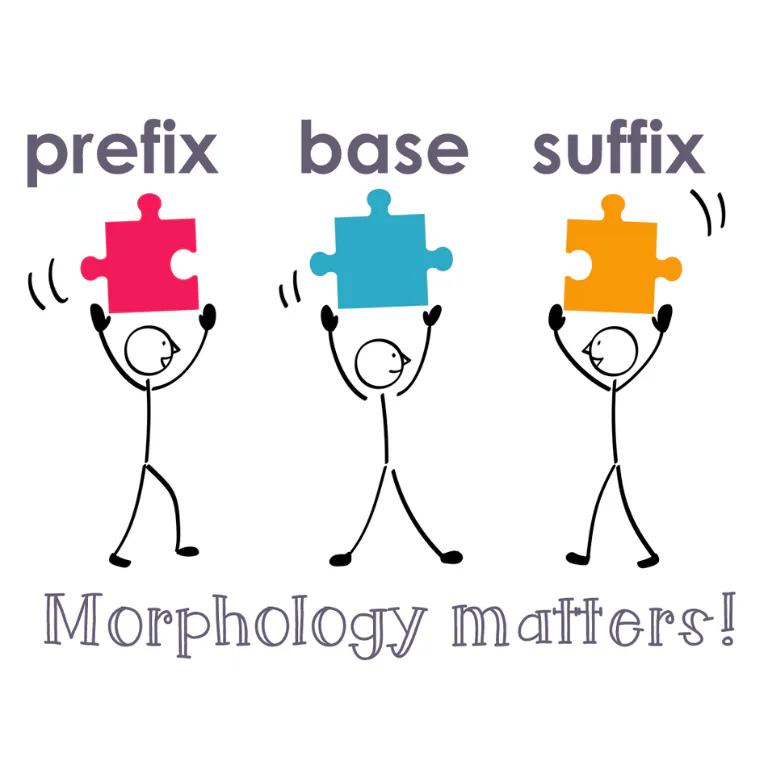 IMSE Morphology 2 Flashcards