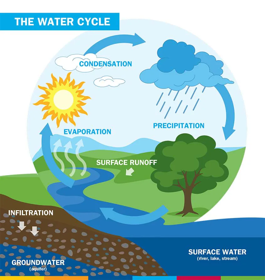 New and Improved REVIEW Weather, Climate, and Water Cycle 6th Grade ...