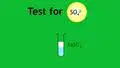 Testing For Negative Ions 6th Grade - University Video | Wayground