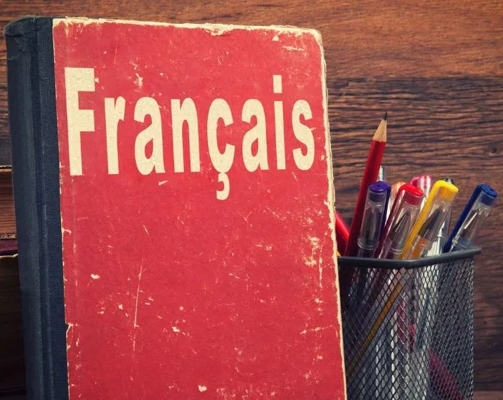 French - FSF2D_A_GCVI_2324 - Unité 1 | Quizizz