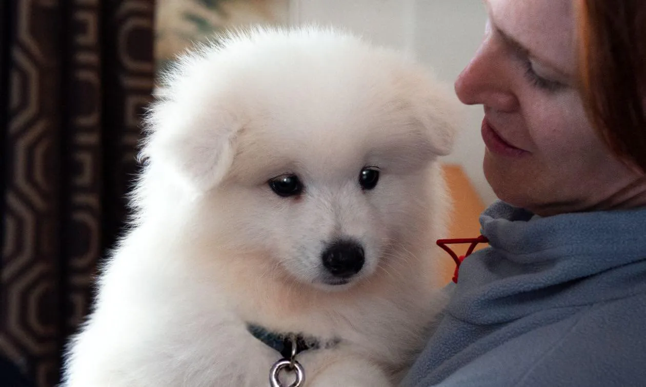 Understanding Verb Moods Quiz 8th Grade Quiz | Wayground