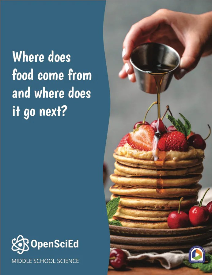 7.4 Matter Cycling & Photosynthesis 7th Grade Flashcard | Wayground