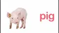 Farm Animal Sounds: A Fun Learning Experience KG - 1st Grade Video ...