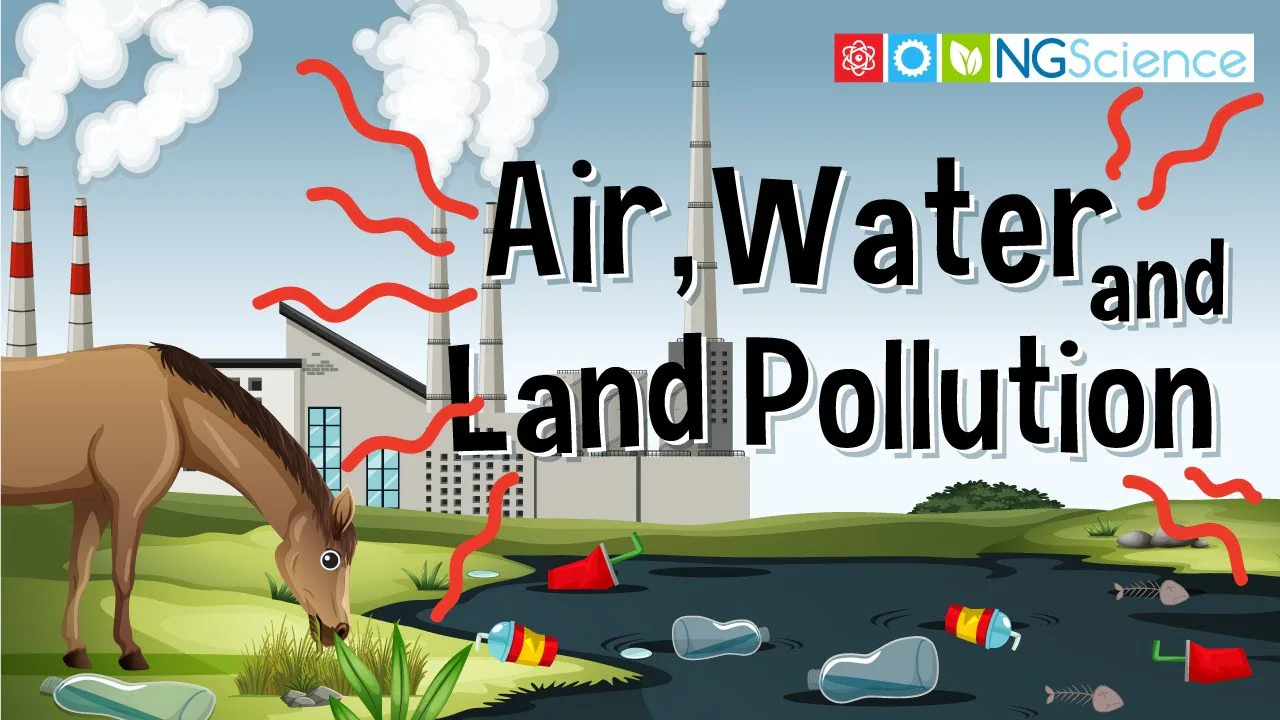 Land and Water Pollution (Environmental Science) Quiz 6th Grade Quiz ...