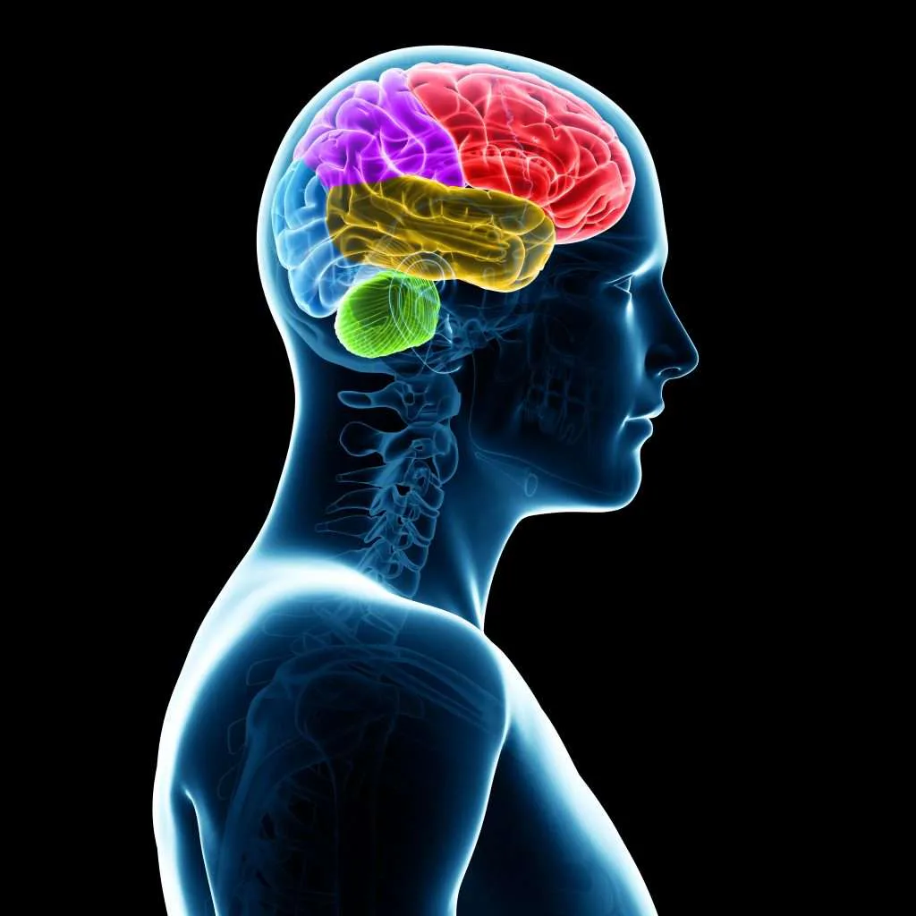 AICE Psych - Learning Case Studies Quizs Quiz