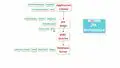 Master Java Web Services and REST API with Spring Boot- Step 3 ...