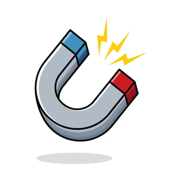 Fun with Magnets | Quizizz