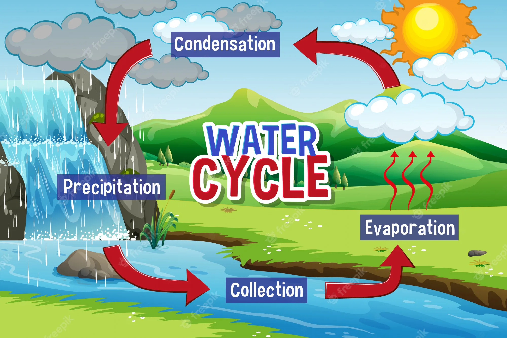 Water Cycle and Weather Quiz 5th Grade Quiz | Wayground