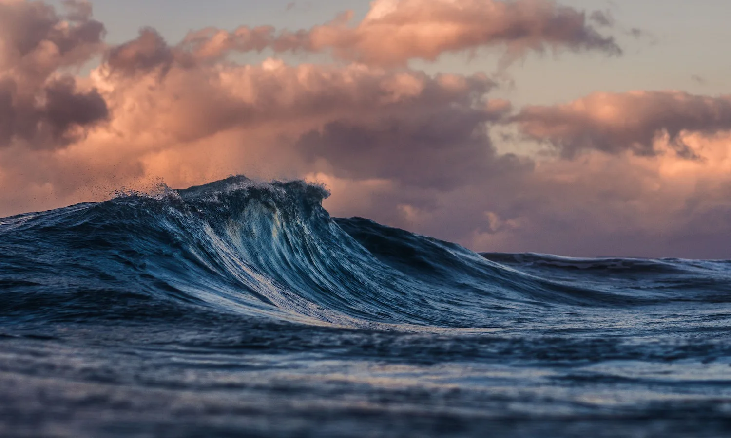 Exploring the Ocean: A Quiz 6th Grade Quiz | Quizizz