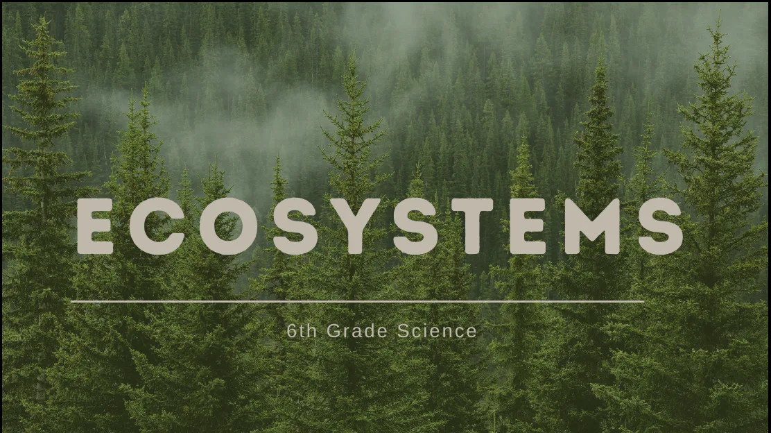 Ecosystems Pop Quiz (Week II) 6th Grade Quiz | Wayground