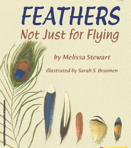Feathers: Not Just for Flying Quiz