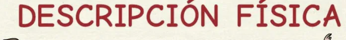 Práctica con Descripciones Físicas Quiz