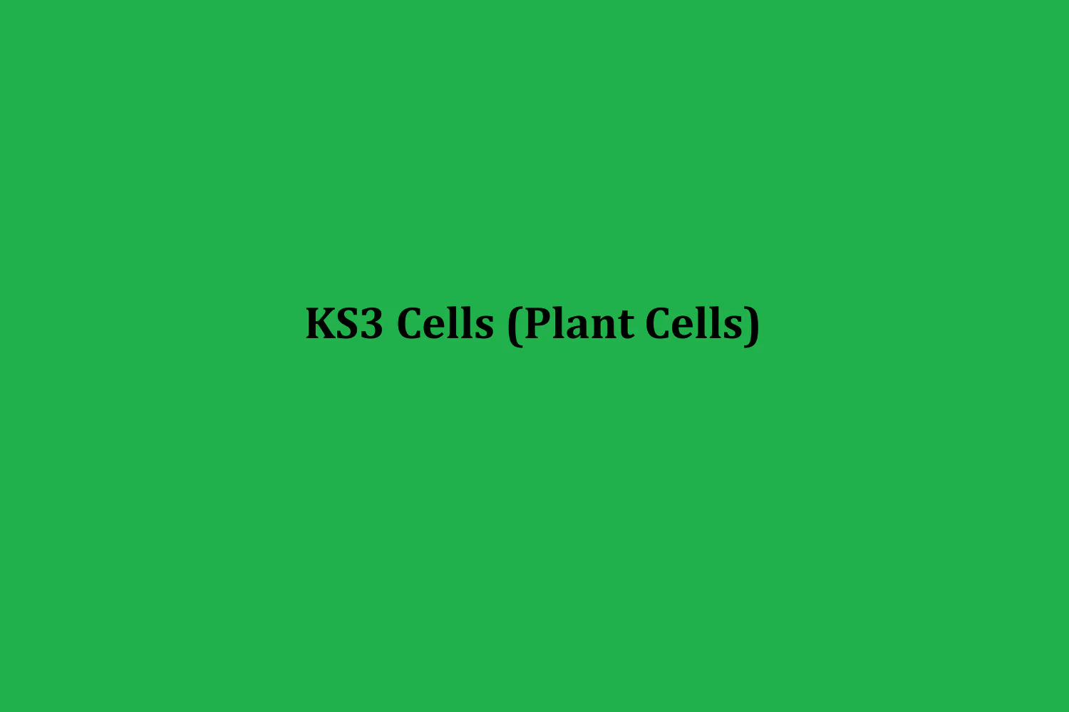 7 KS3 Cells (Plant Cells) 6th Grade Quiz | Wayground