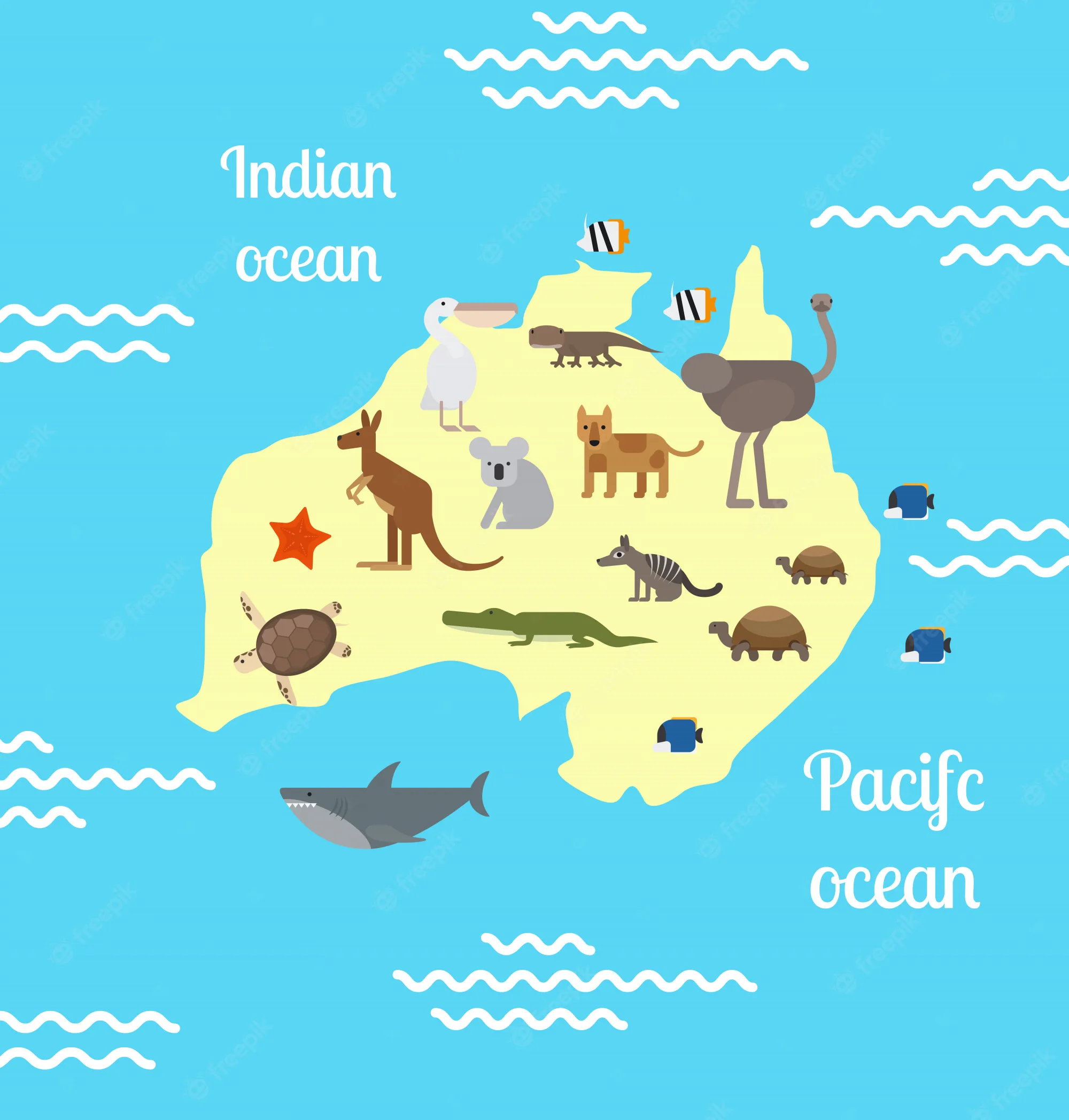 Australia Physical Features Flashcard 6th SS 6th Grade Flashcard ...