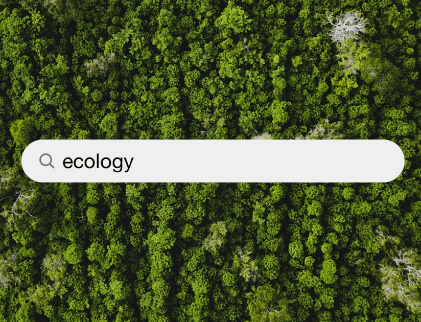 Ecology EOC Review 10th Grade Flashcard | Wayground (formerly Quizizz)
