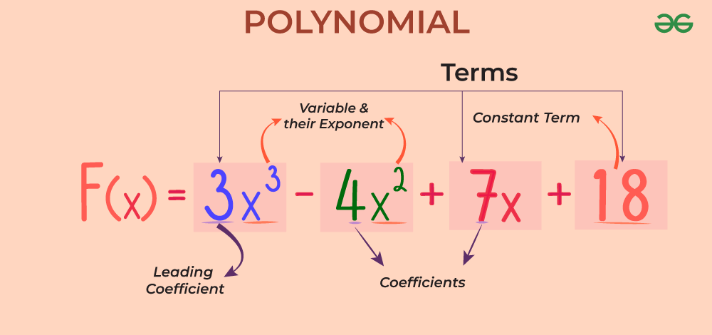 Introduction to Polynomials Key Facts 9th Grade Quiz | Wayground ...