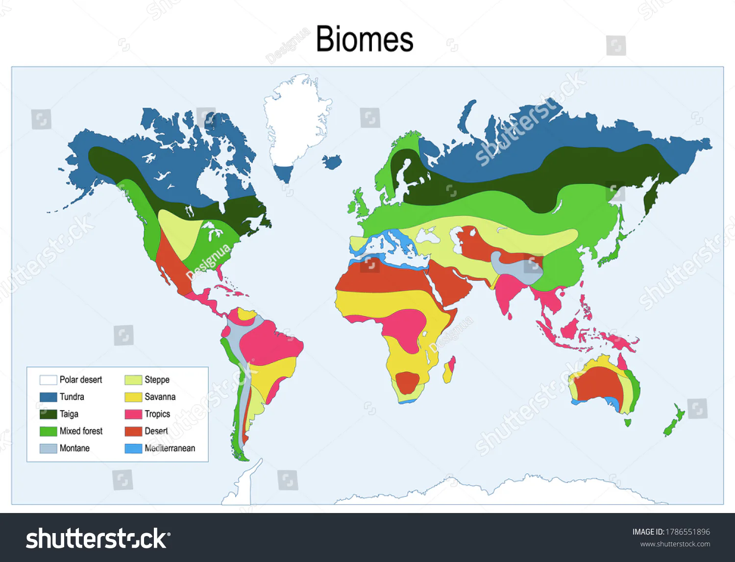 Biomes Review Quiz