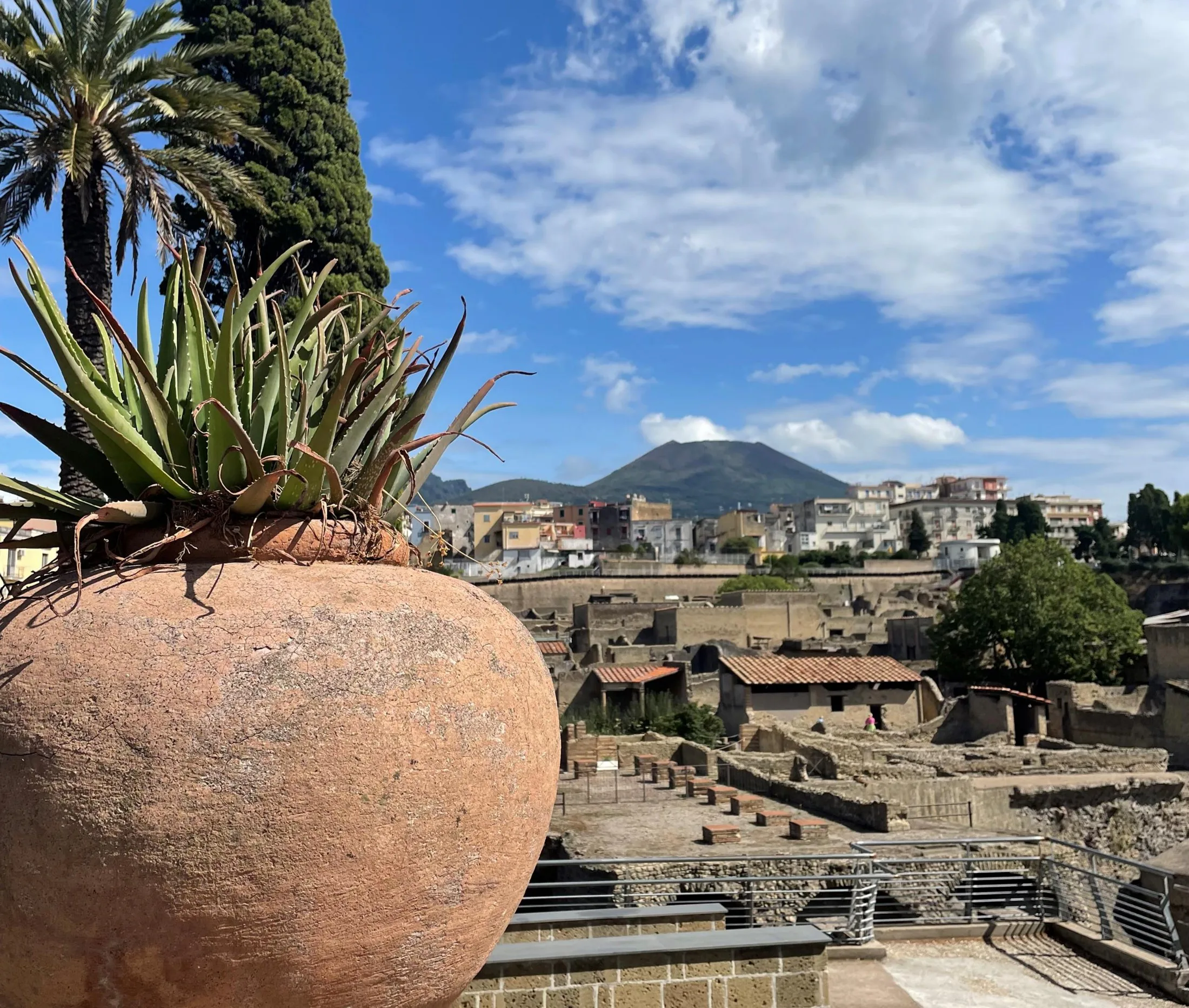 CLASE 2 University Quiz | Quizizz