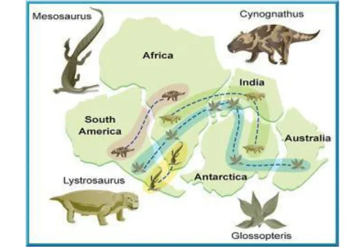 Plate Tectonic Test Review 7th Grade Flashcard | Wayground