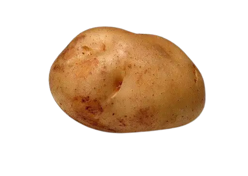 ez quiz Quiz