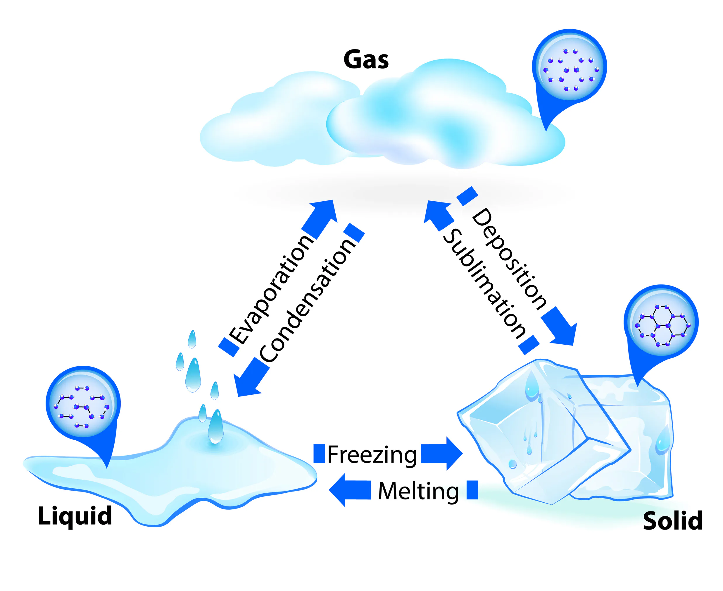 Exploring States of Matter 6th Grade Quiz | Wayground