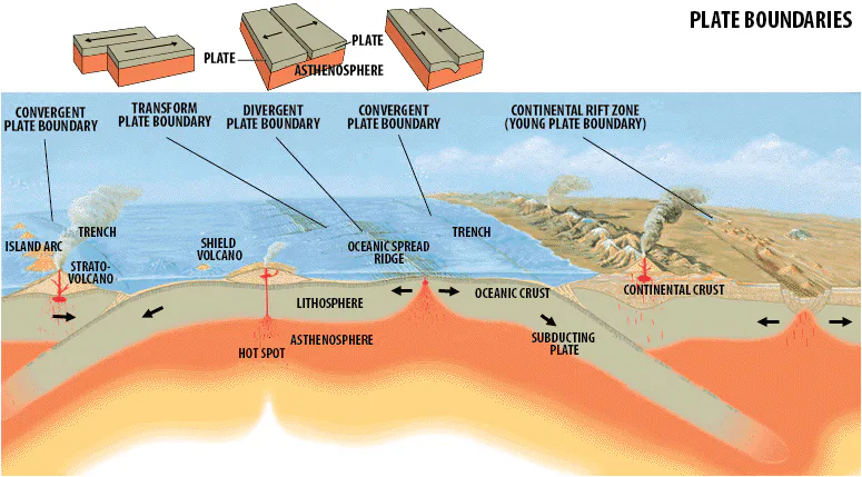 Unit 6.2: Effects of Plate Tectonics Flashcard