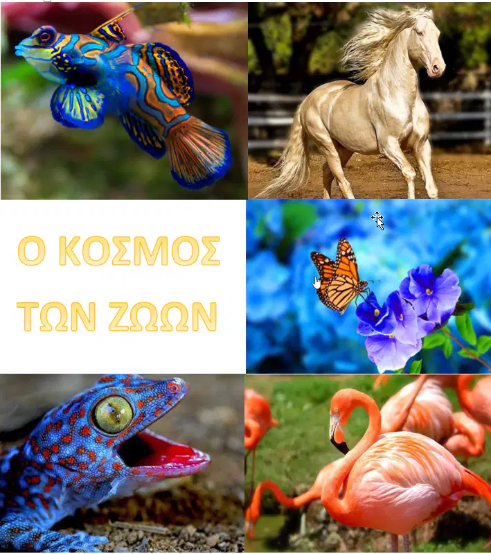 Πώς κινούνται τα ζώα Quiz